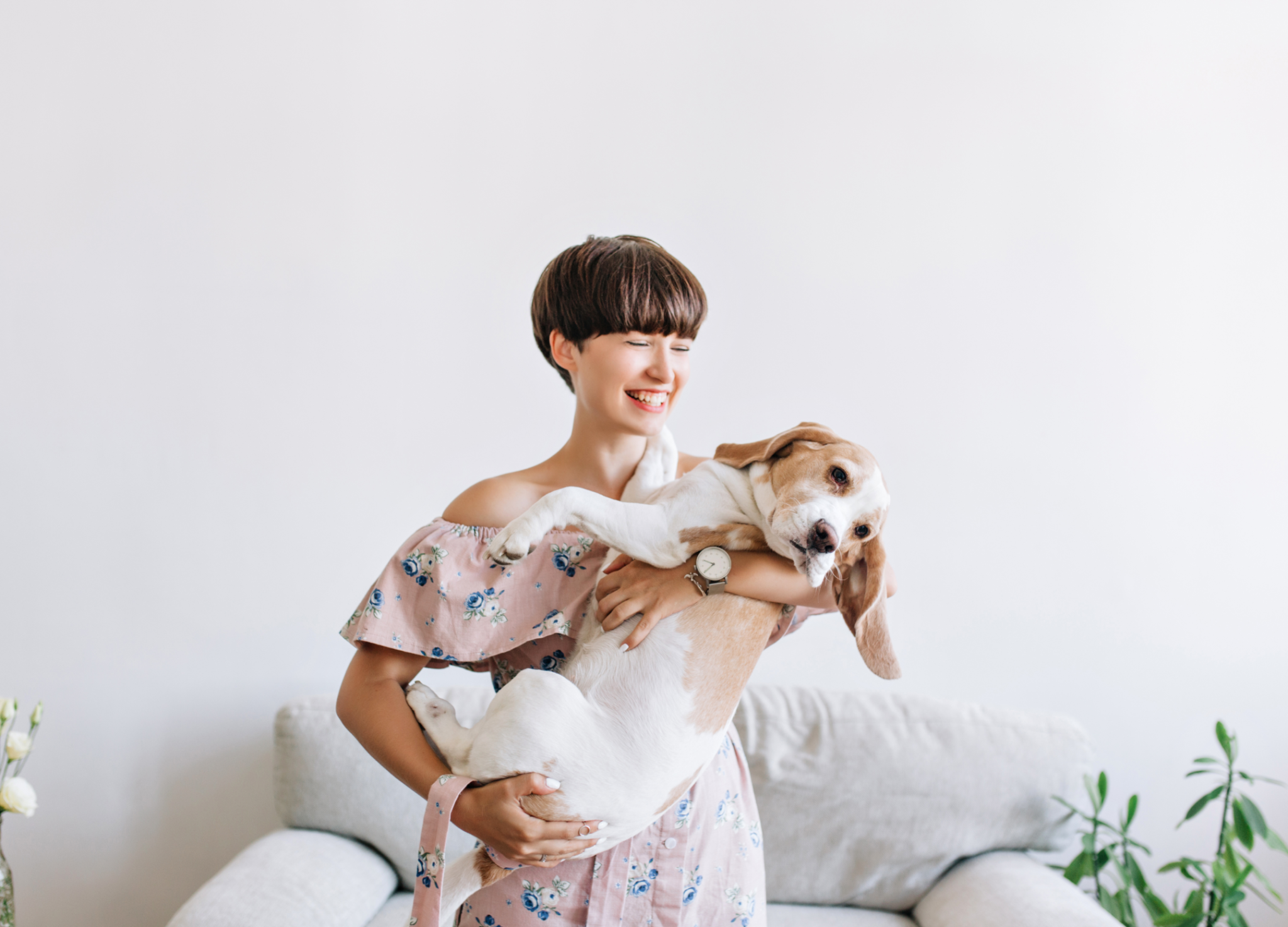 Veterinarian Orwell, OH | Grand Valley Veterinary Care - Vet Care ...