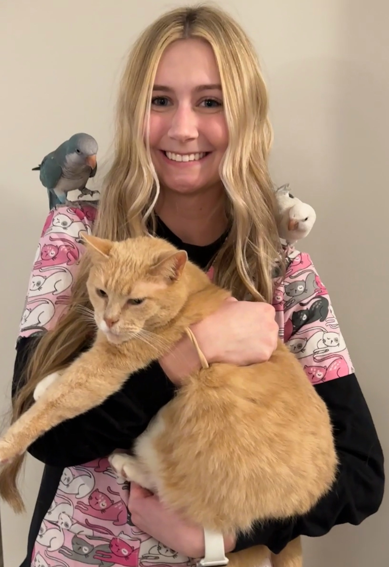 Meet the Team – Grand Valley Veterinary Hospital | Trusted Vet Clinic ...