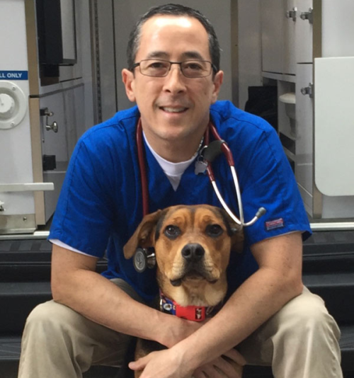 Veterinarian Reston, VA | Vet in a Box – Concierge Veterinary Petcare