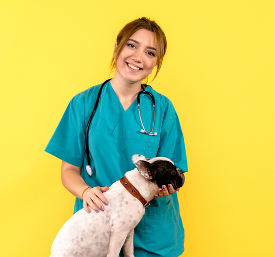 Meet the Doctors - Frederick Veterinary Center